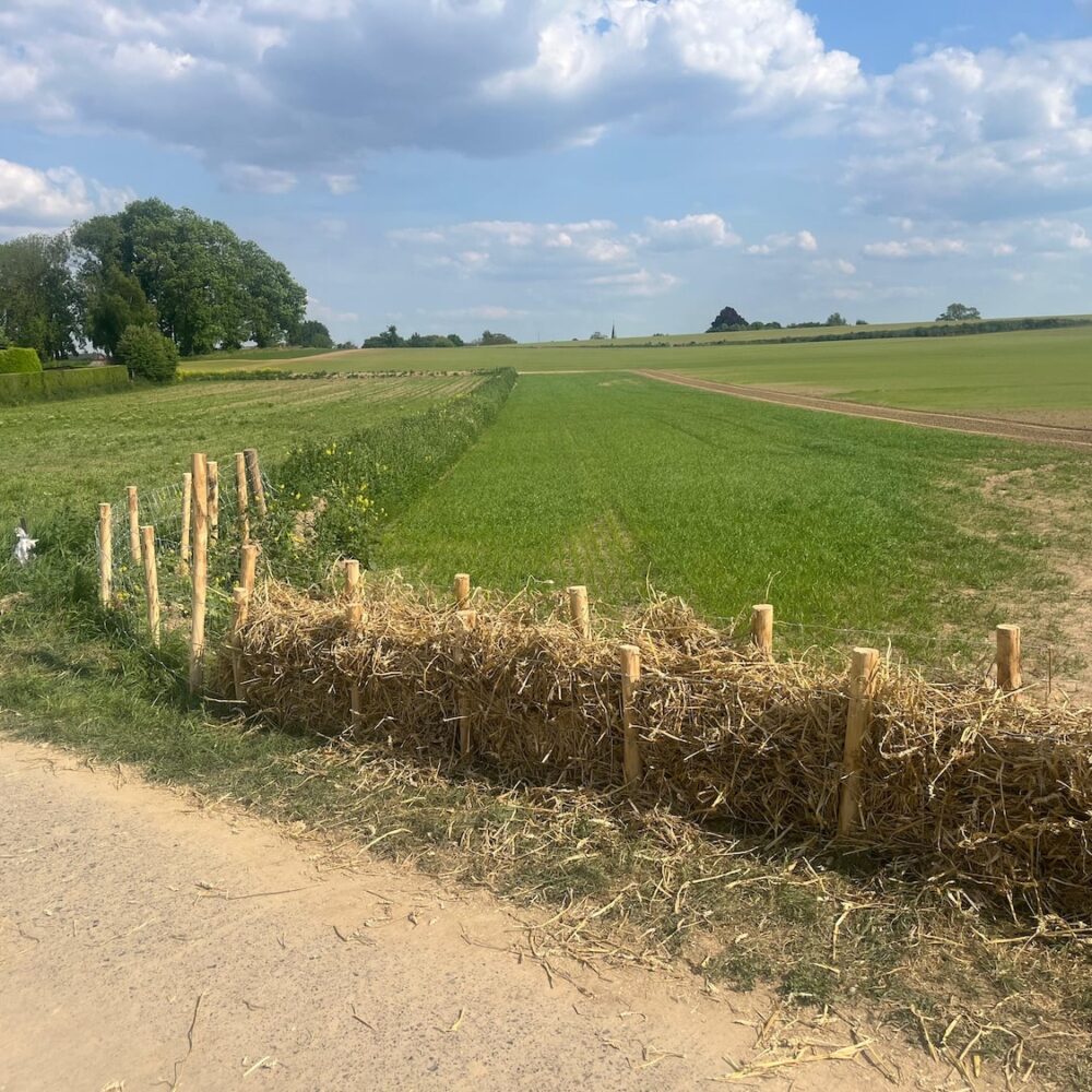 Création de fascines - Impec'arbre